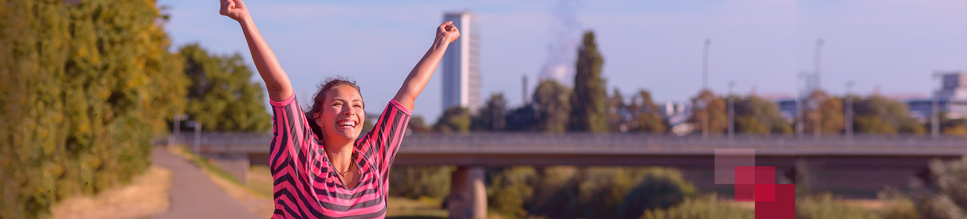 Schema - Modifast-metoden MAX